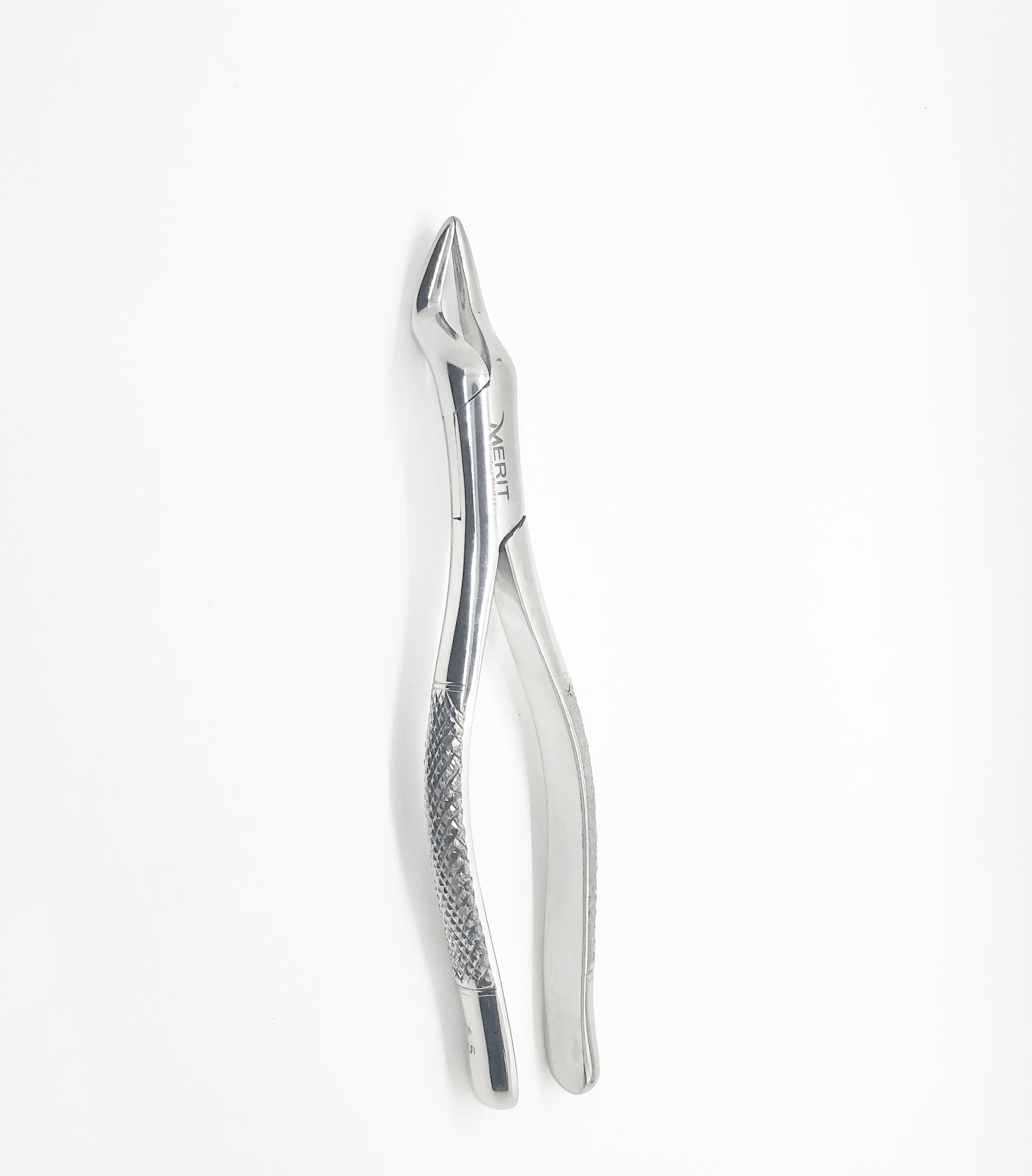 #65 Extracting Forceps American Pattern Mirror Polish Finish - Merit Surgical