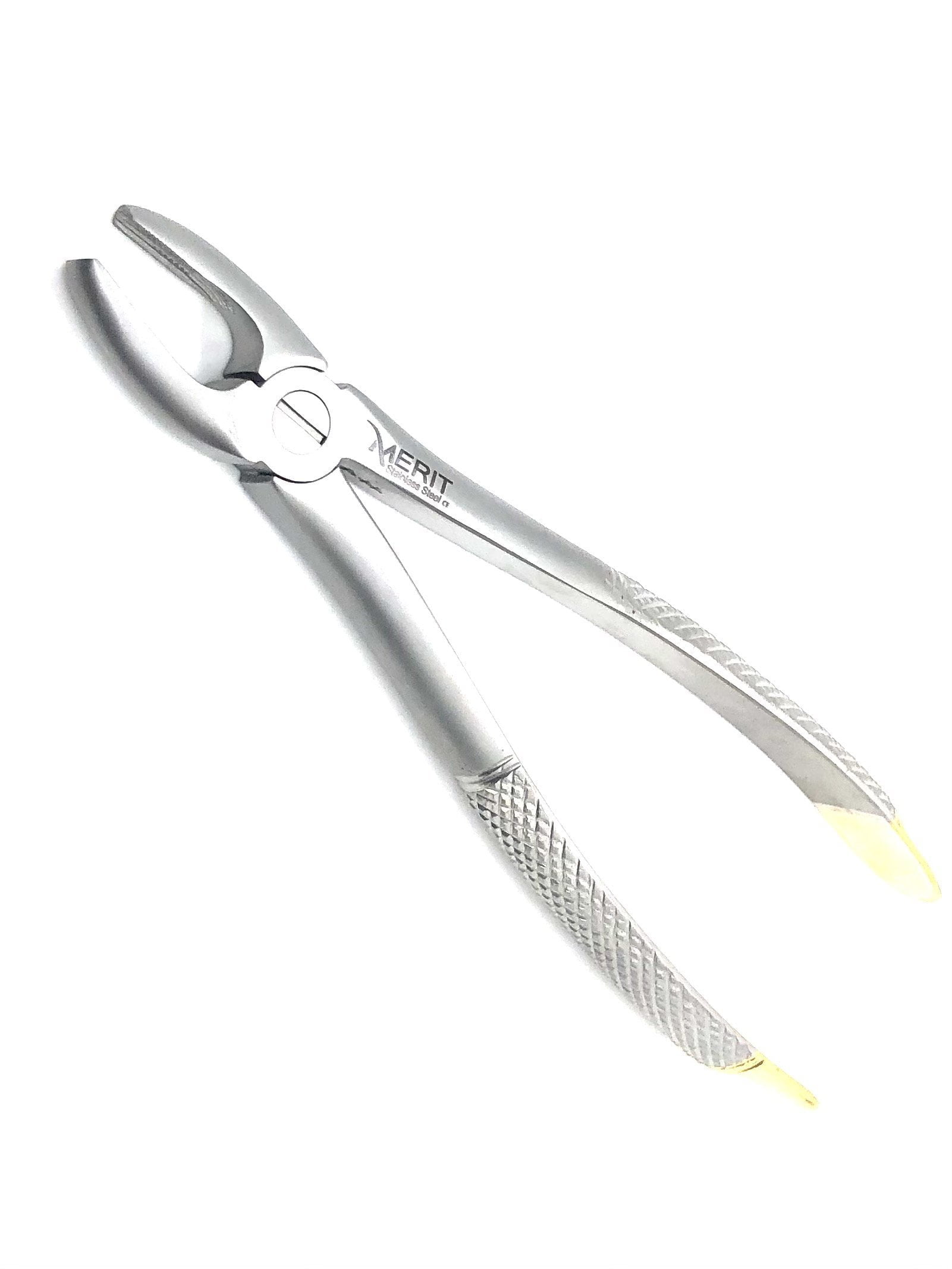 Extraction Forcep #1 English Pattern Gold - Merit Surgical