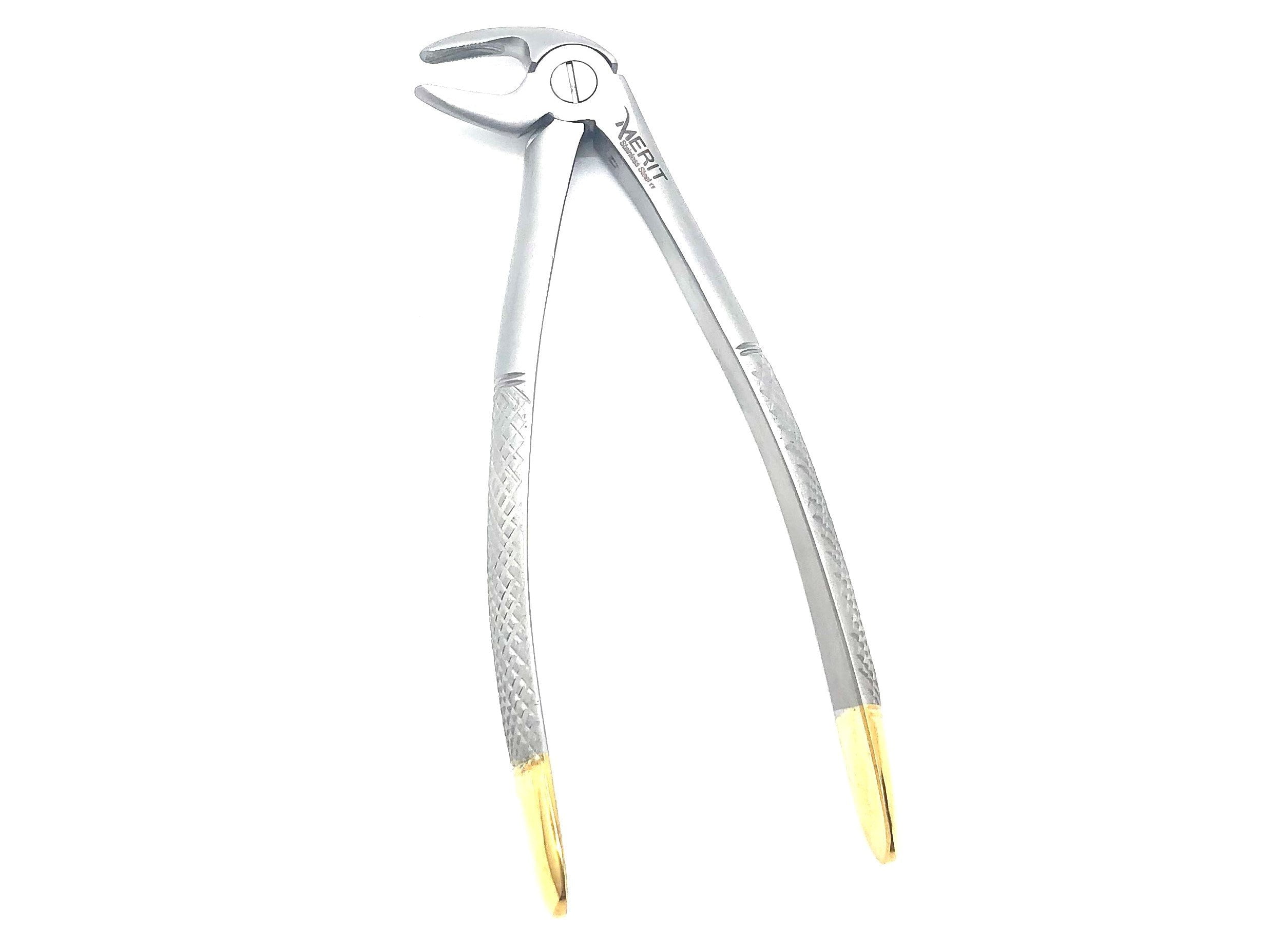 Extraction Forcep #33 English Pattern Gold - Merit Surgical