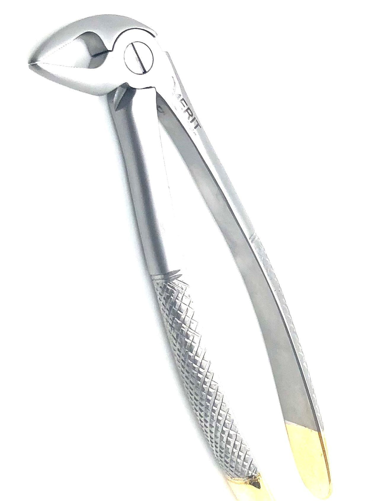 Extraction Forcep #33 English Pattern Gold - Merit Surgical