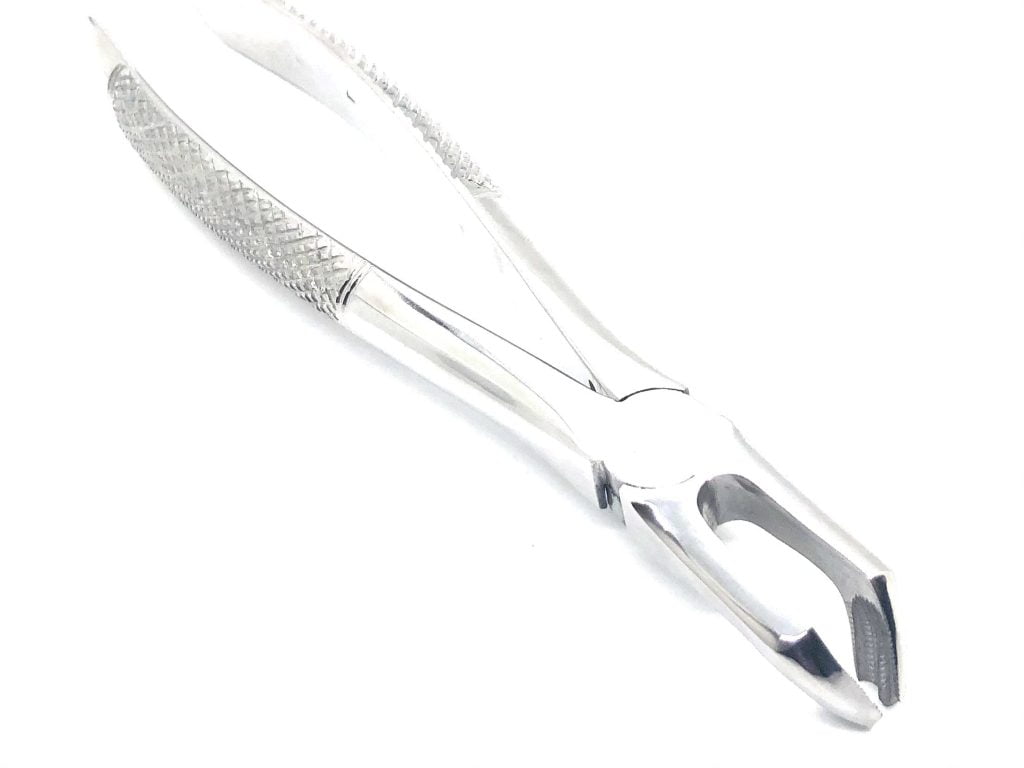 Extraction Forcep #79 English Pattern Mirror Finish - Merit Surgical