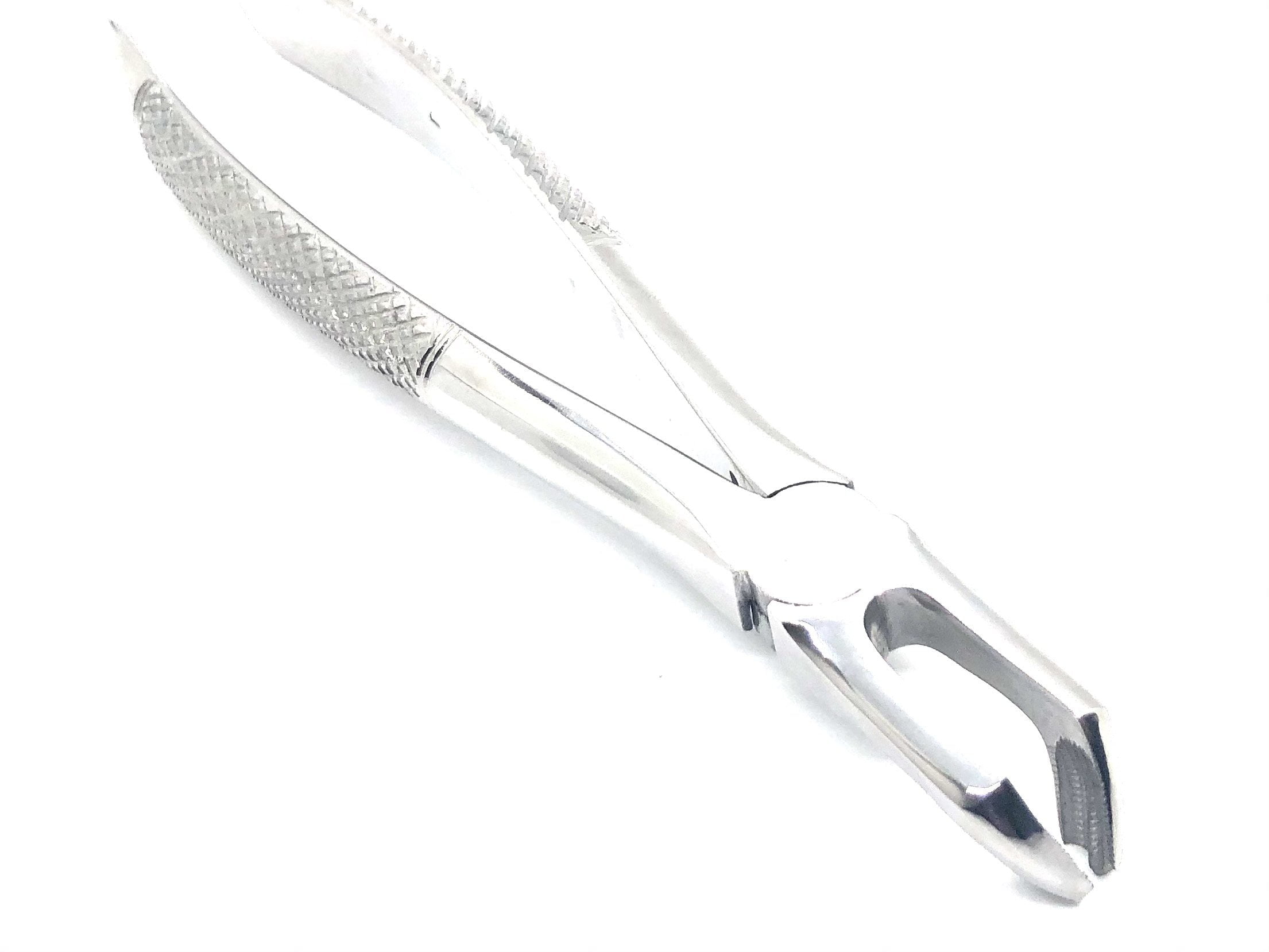 Extraction Forcep #79 English Pattern Mirror Finish - Merit Surgical