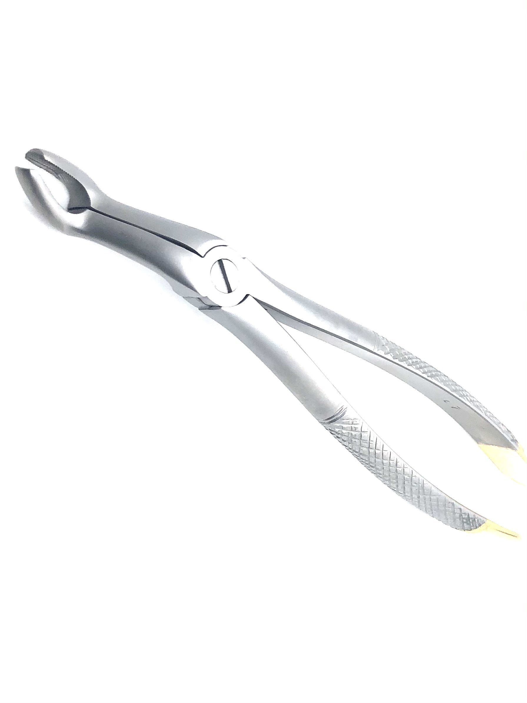 Extraction Forcep #67A English Pattern Gold - Merit Surgical