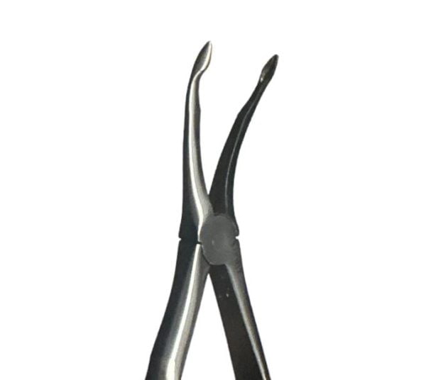 Upper Posterior Root Extraction Forcep - Merit Surgical